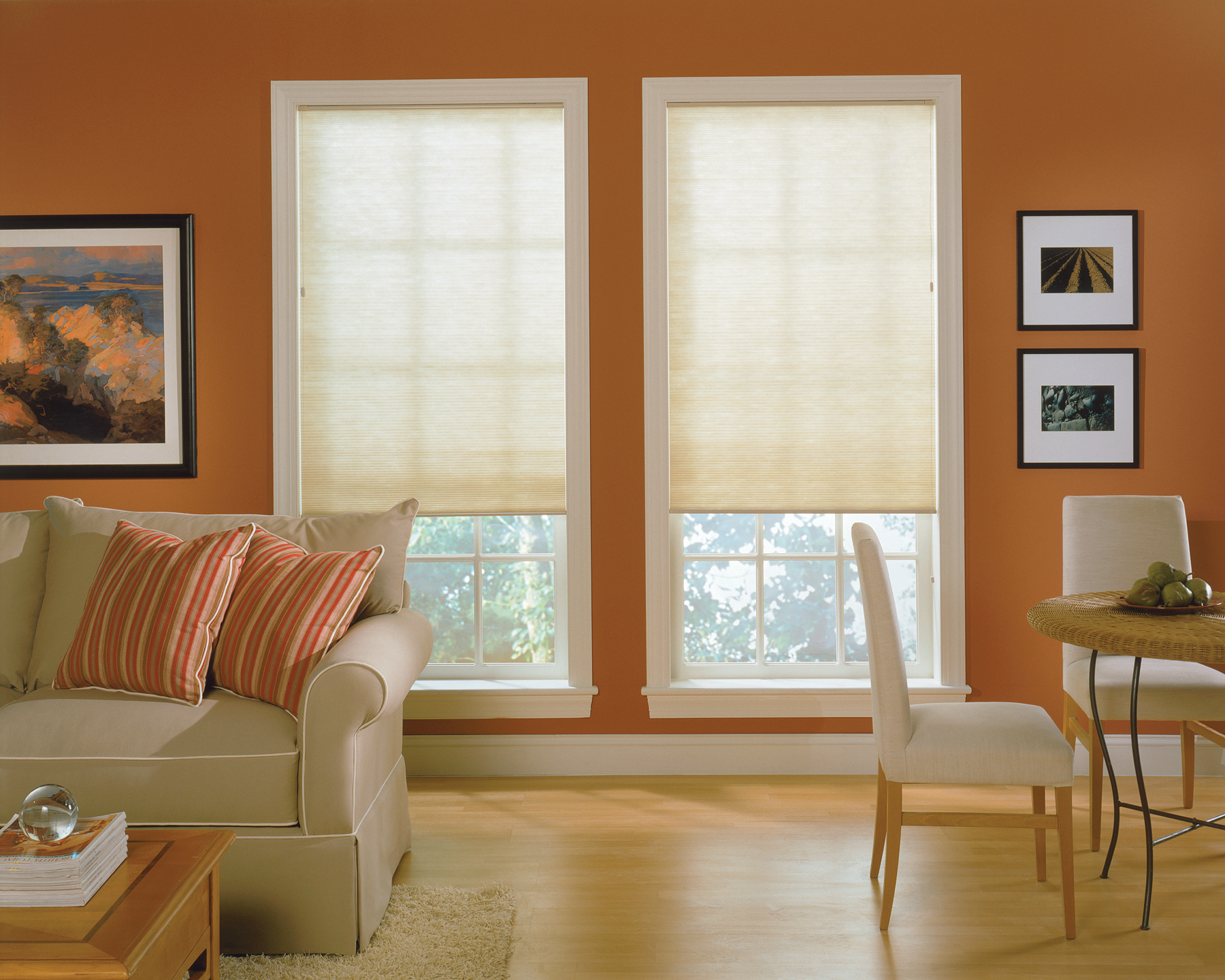 10 Different Types of Blinds for 2018