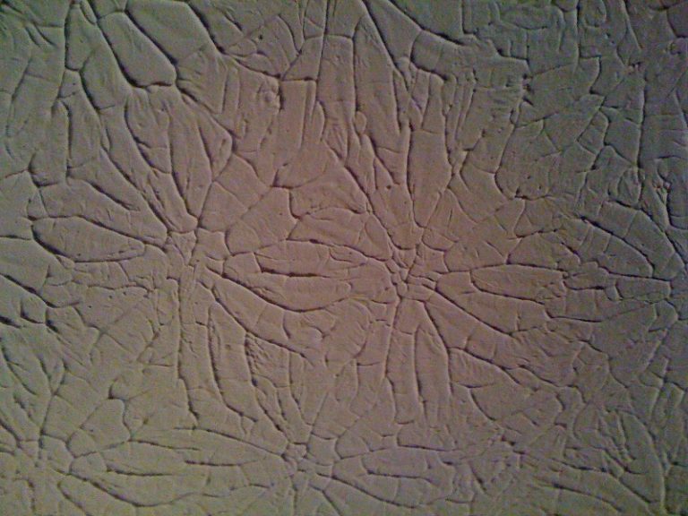 10 Different Types of Wall Textures to Consider